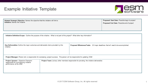 Examples of Strategic Initiatives: